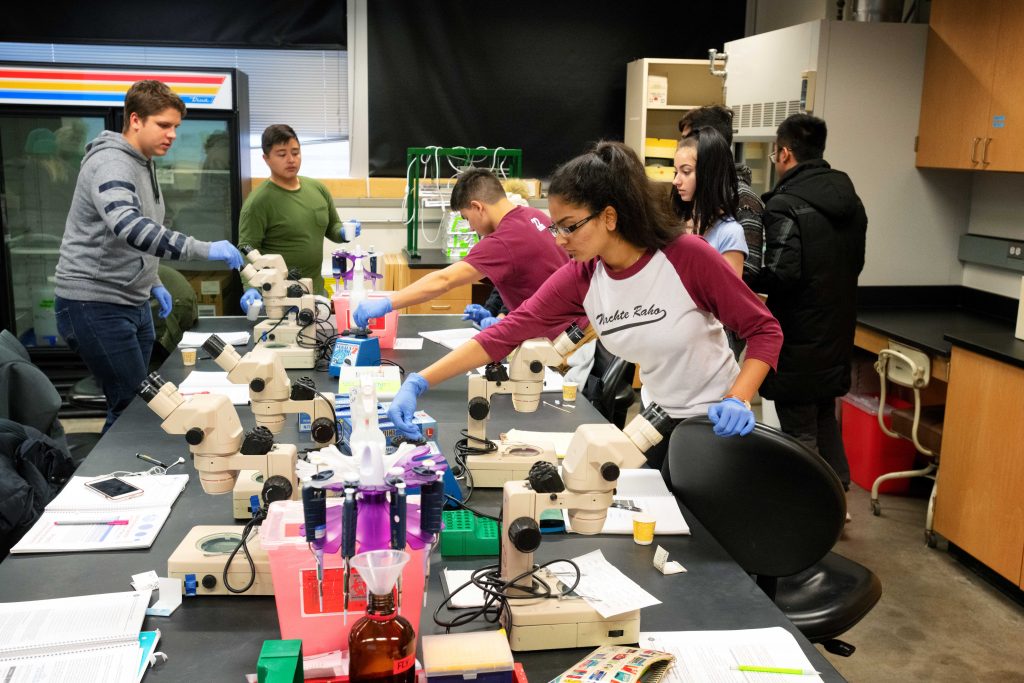 Teaching in laboratory settings – Handbook for Teaching Excellence