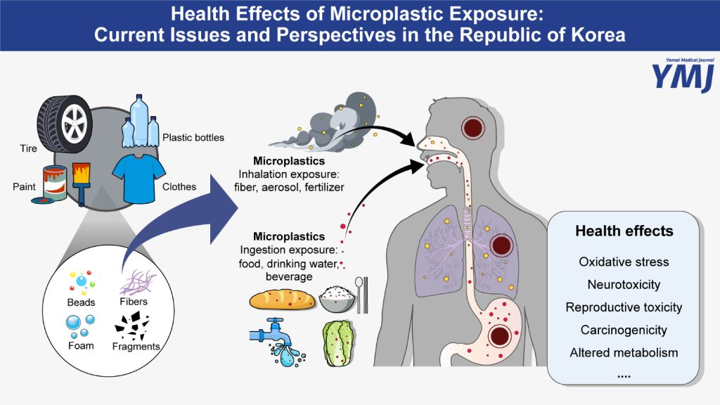 The Global Distribution And Impacts Of Microplastics Health Work And